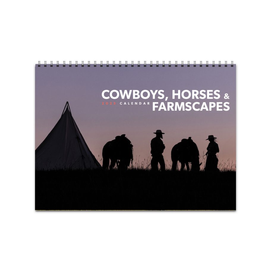 2025 Calendar | Cowboys, Horses and Farmscapes | Holly Nicoll